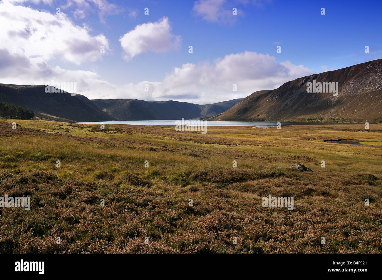 A view of Loch Muick from the main walking path, with mountains in the ...