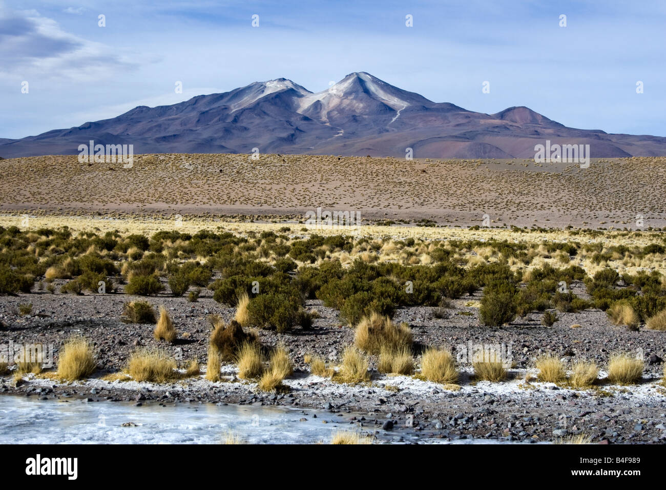 A frozen stream at high altitude in the Andes in Southwest Bolivia ...