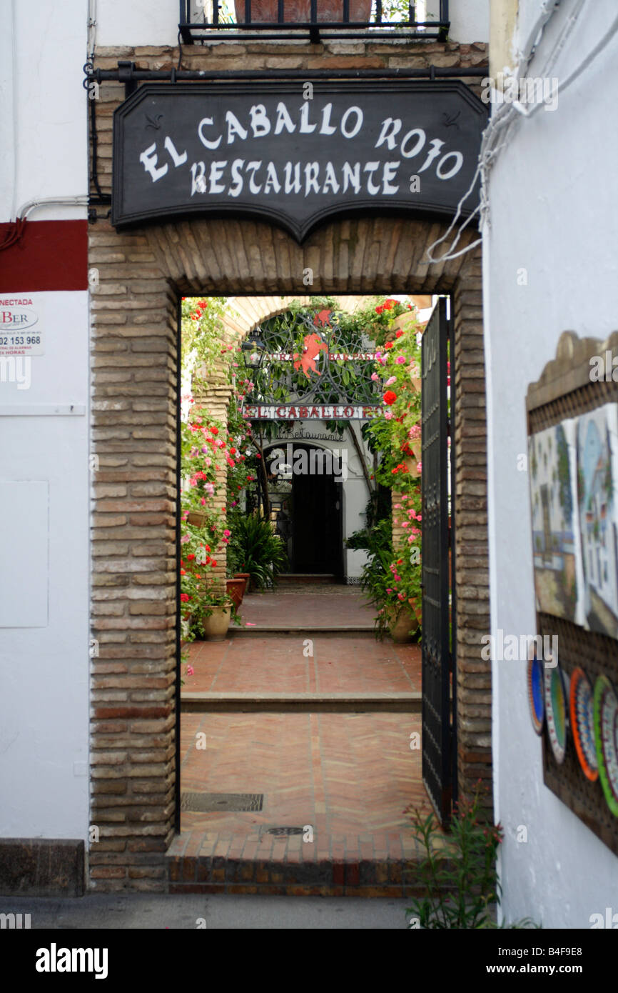 El Caballo Rojo restaurant, Cordoba, Spain Stock Photo - Alamy
