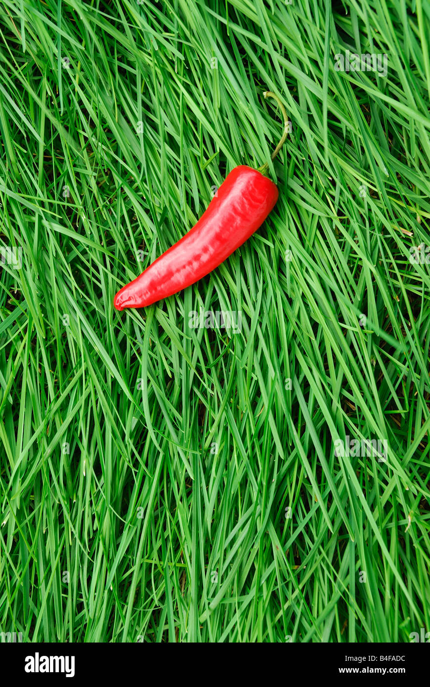 Red and green backgrounds hi-res stock photography and images - Alamy