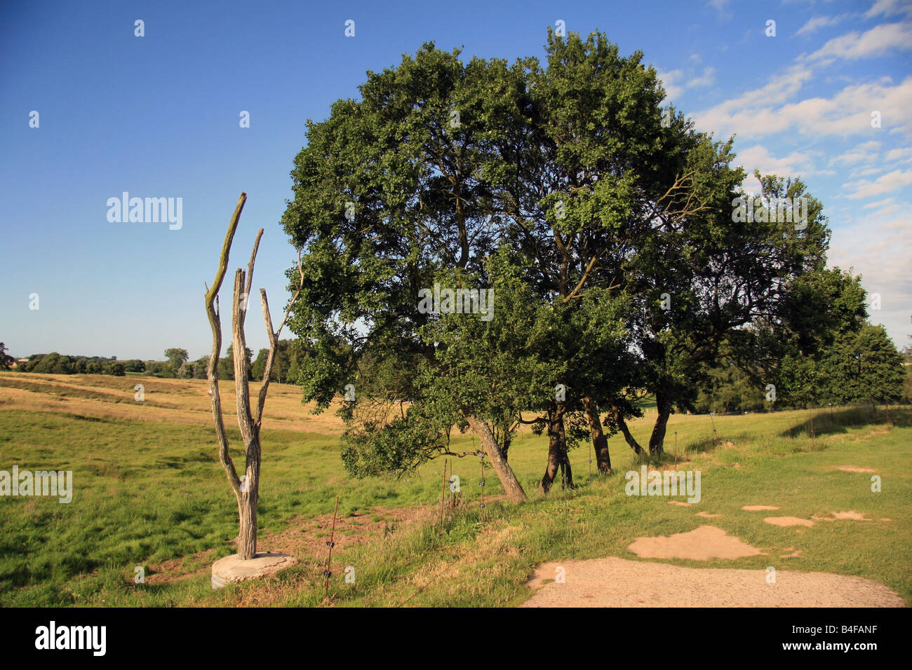 The Danger Tree in the Newfoundland Memorial Park, The Somme, France ...