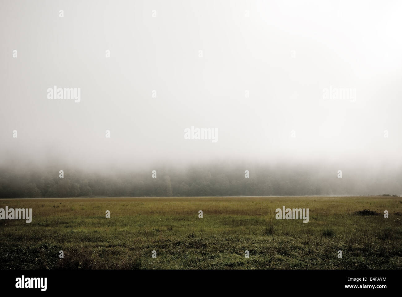 Field with Fog Stock Photo - Alamy