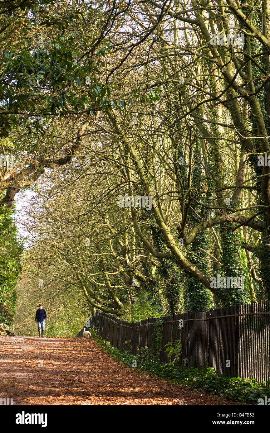 London nw3 hi-res stock photography and images - Alamy