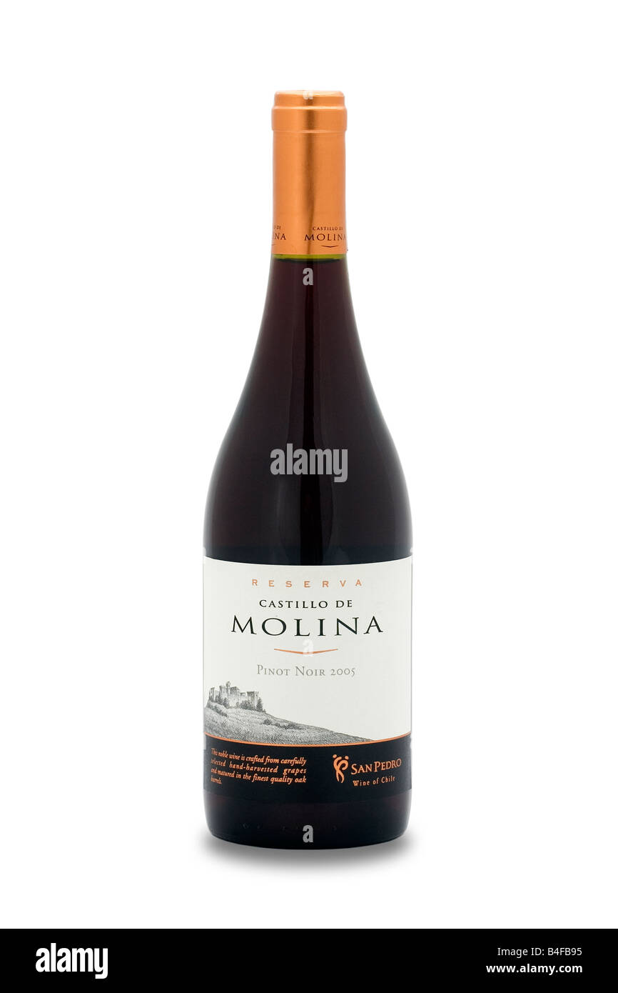 Reserva Castillo De Molina Pinot Noir 2005 Red Wine Chile Stock Photo