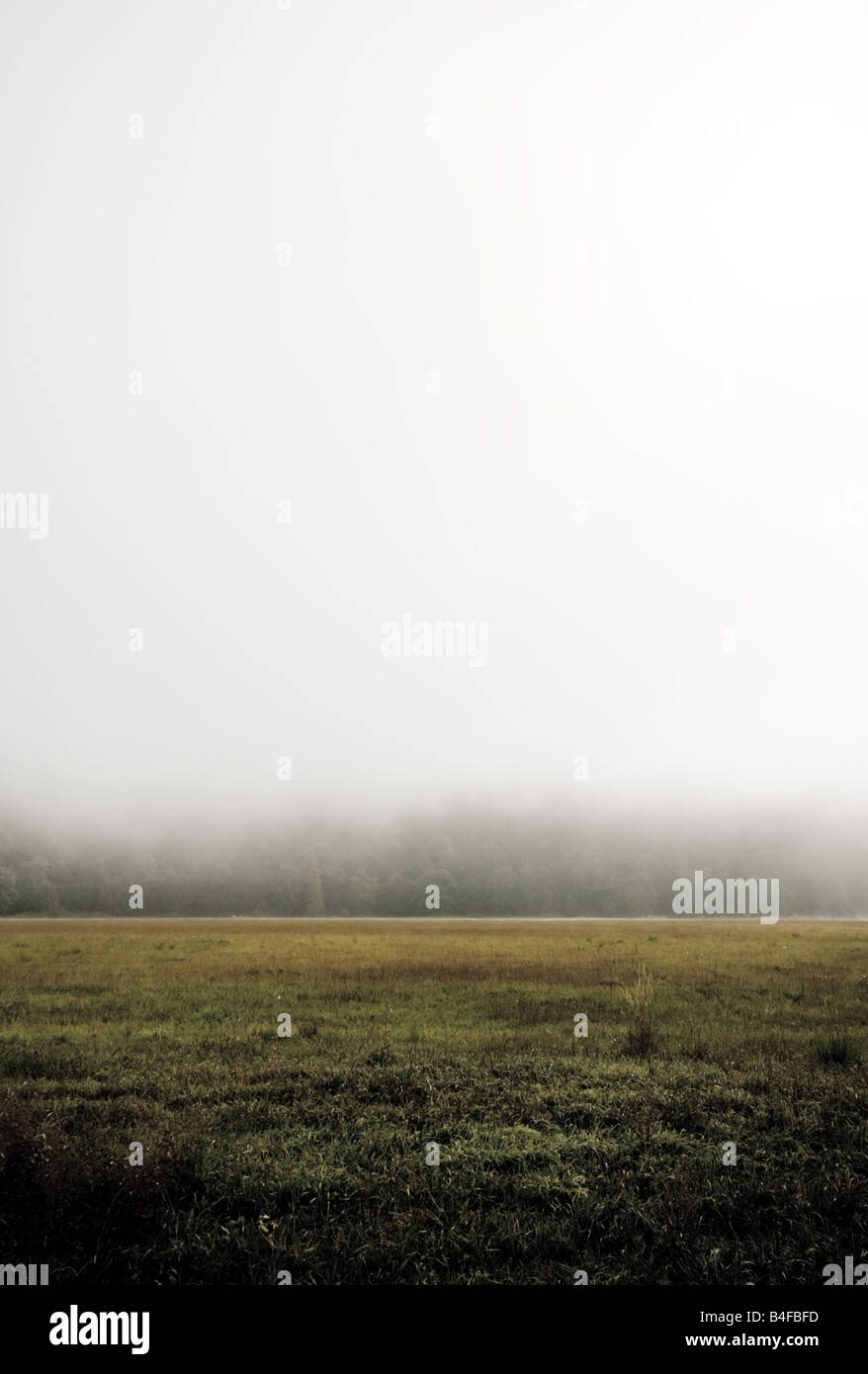 Field with Fog Stock Photo - Alamy