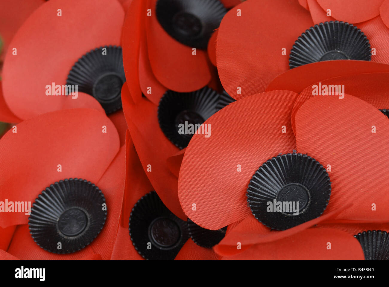 Plastic poppy hi-res stock photography and images - Alamy