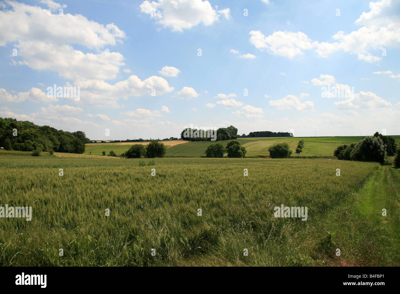A view from no mans land of the countryside around the Hawthorn Ridge ...