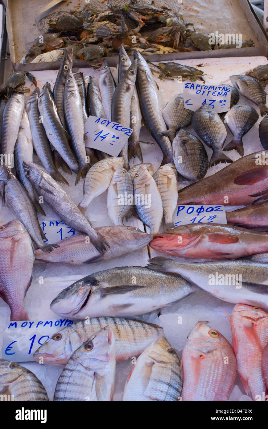 Common white fish hi-res stock photography and images - Alamy