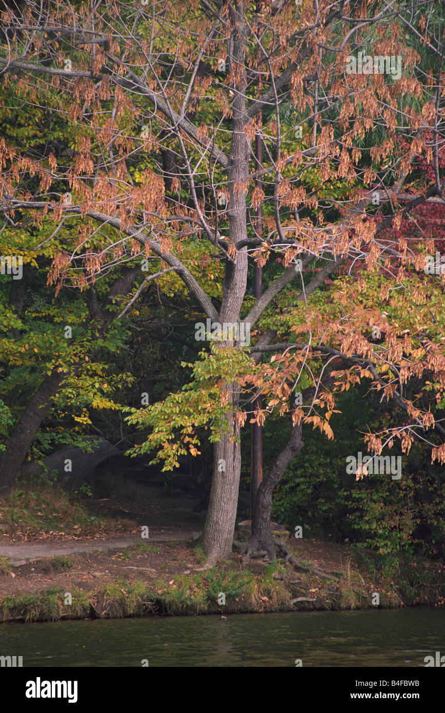 Autumn colors in central hi-res stock photography and images - Alamy