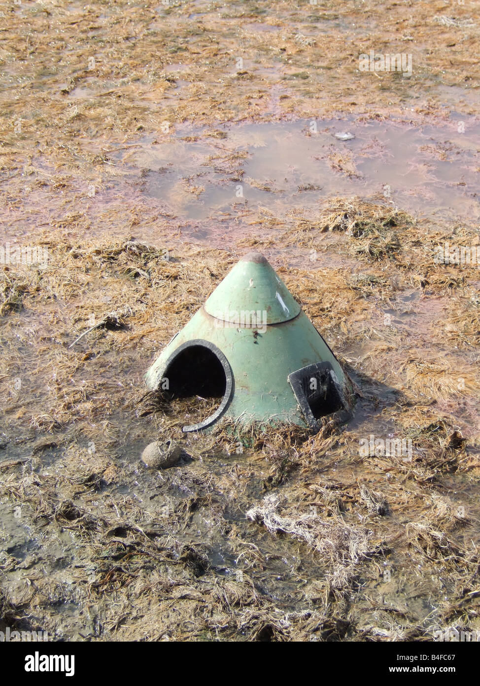 Empty can dumped litter hi-res stock photography and images - Alamy
