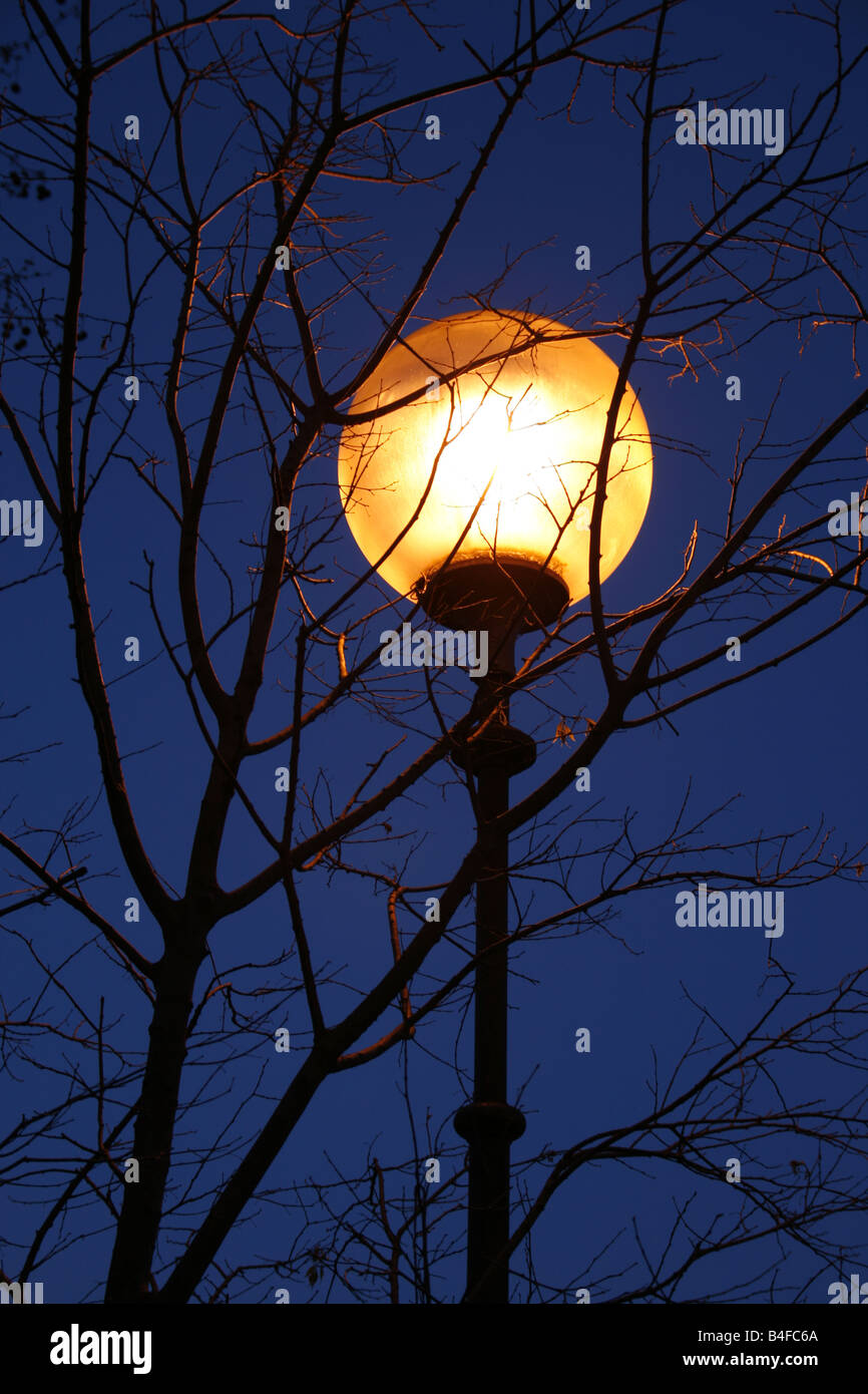 one street lamp post pole at night in dark forest Stock Photo - Alamy