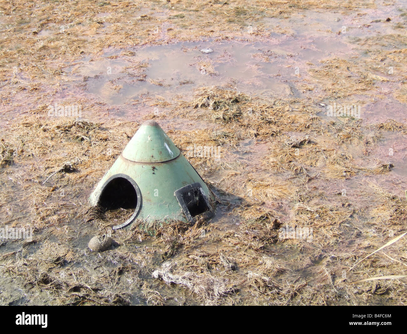one green litter dumped in dirty river Stock Photo - Alamy