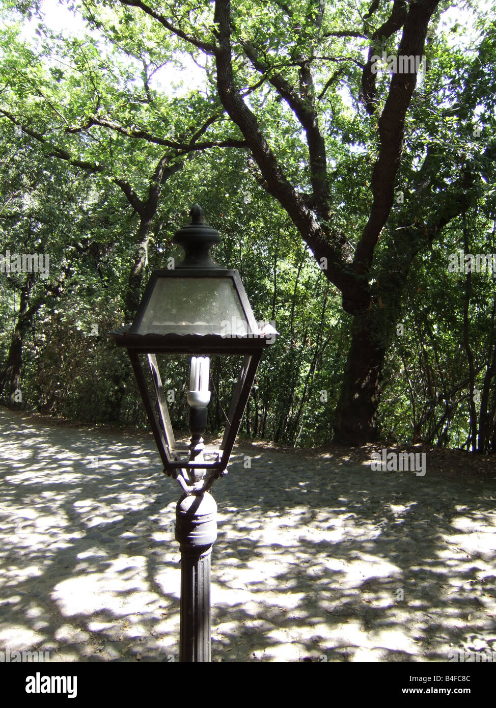 street lighting lamp in woods forest in country Stock Photo - Alamy
