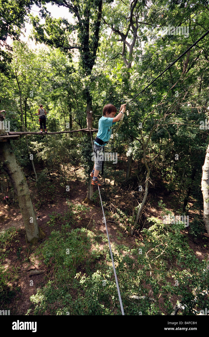 Rope climbing adventure on height trees in forest Stock Photo - Alamy