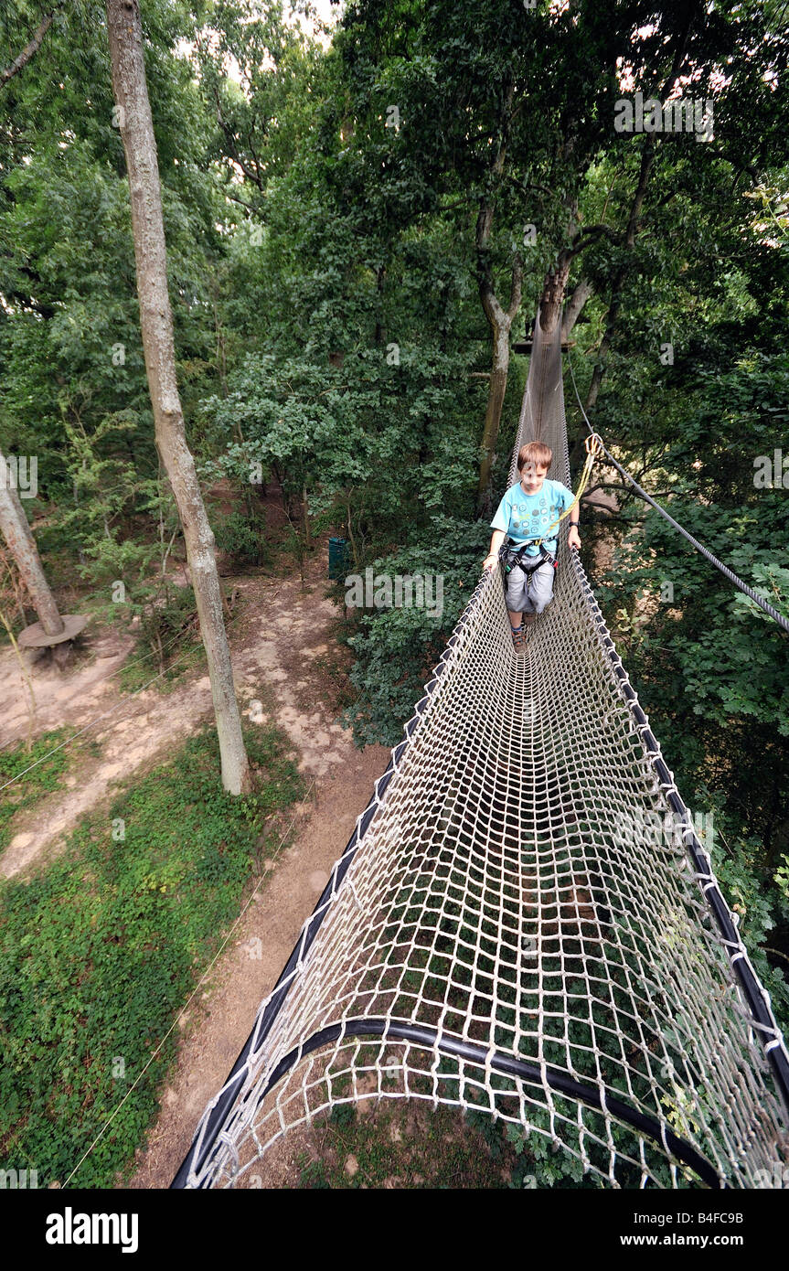 Rope climbing adventure on height trees in forest Stock Photo - Alamy