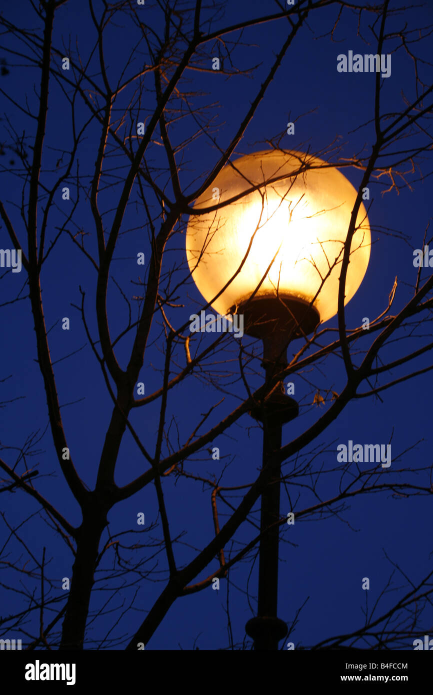 one street lamp post pole at night in dark forest Stock Photo - Alamy