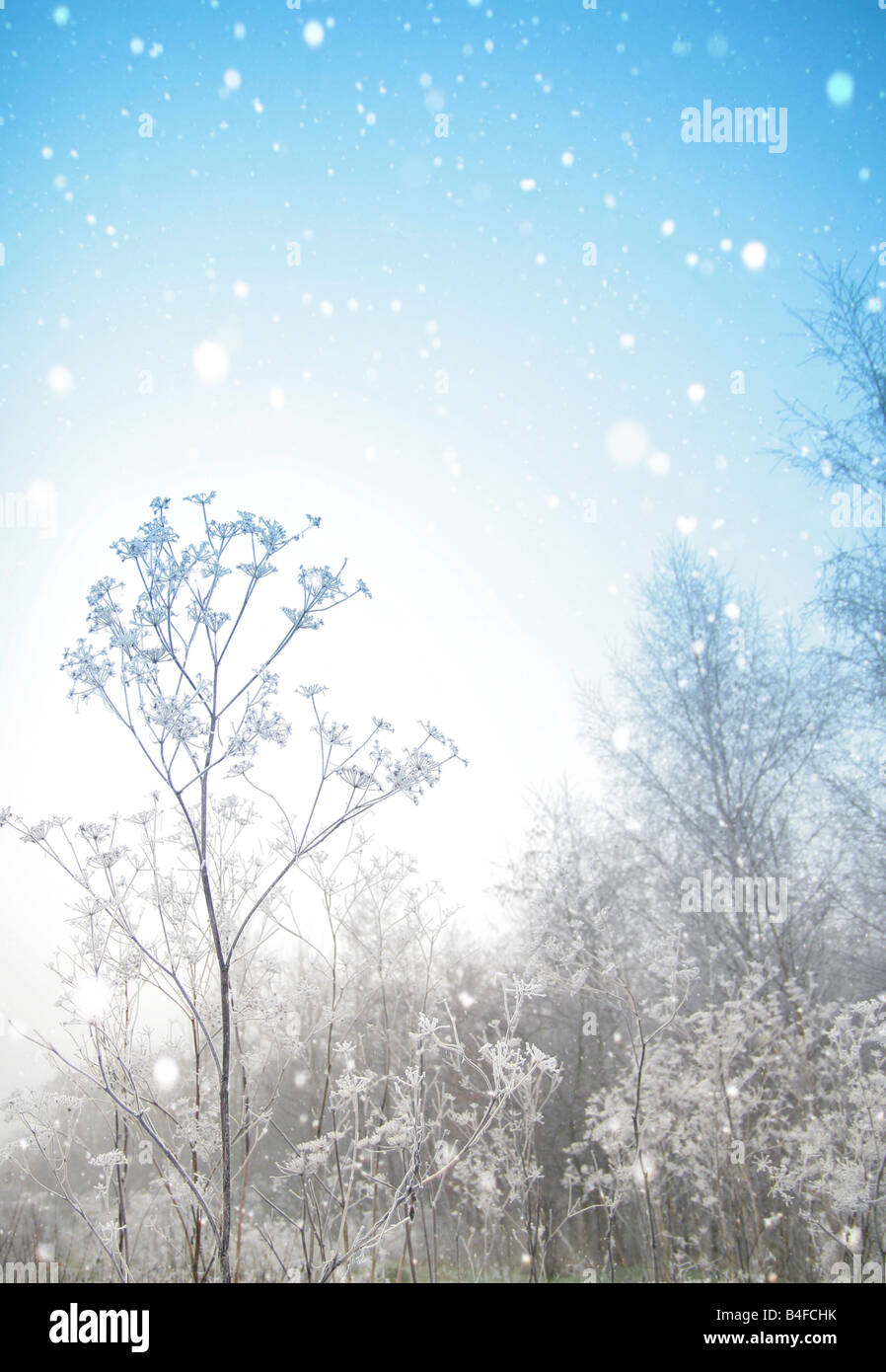 snowy winter landscape Stock Photo - Alamy