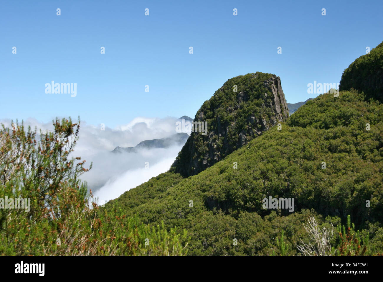 Pinaculo the sugar loaf mountain of Madeira Stock Photo - Alamy