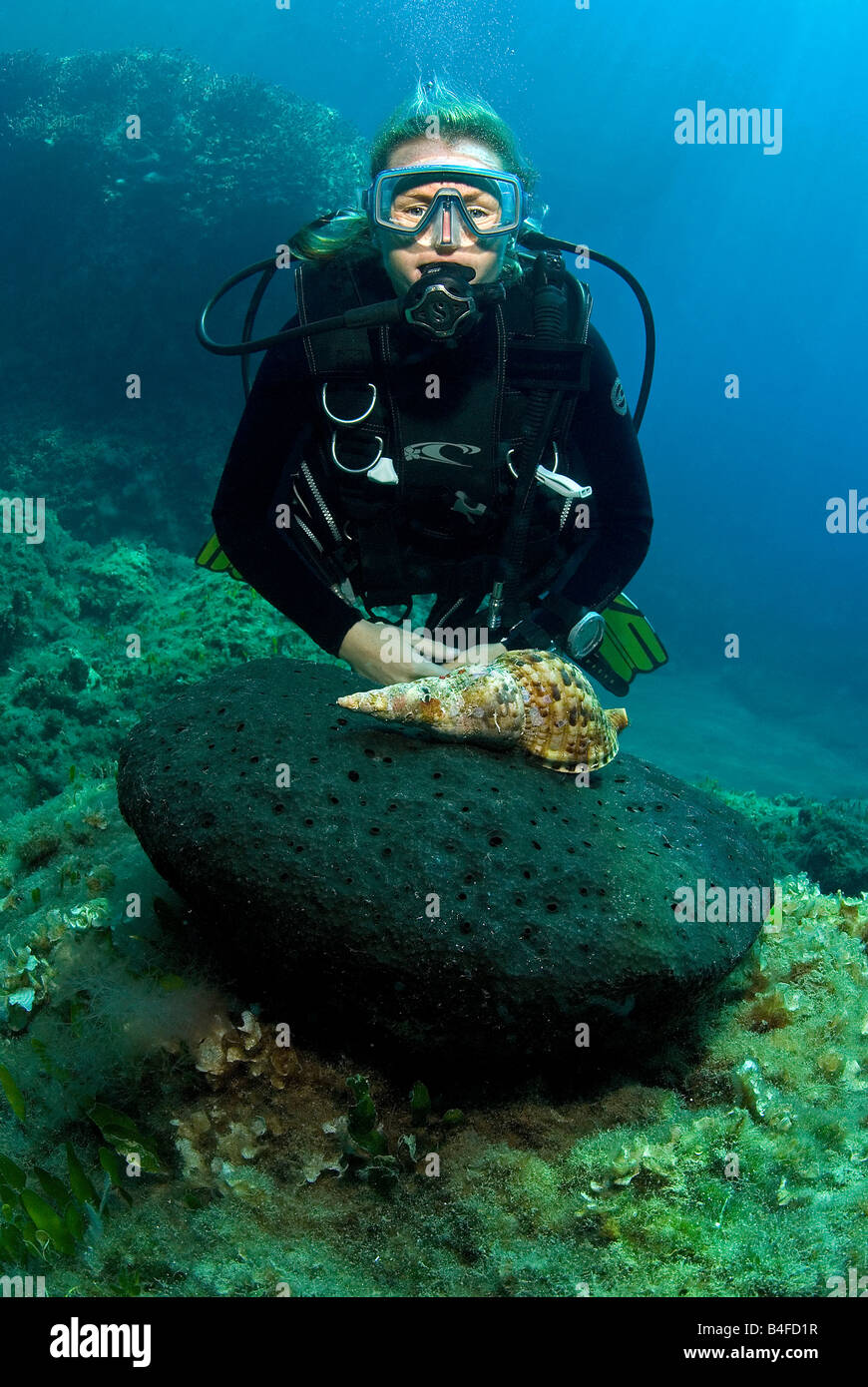 diver and triton shell Stock Photo - Alamy
