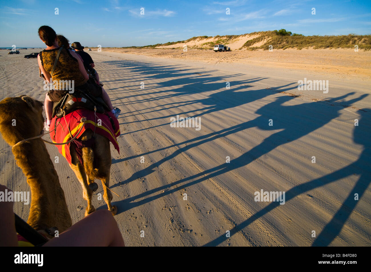 Beaches Camel High Resolution Stock Photography and Images - Alamy