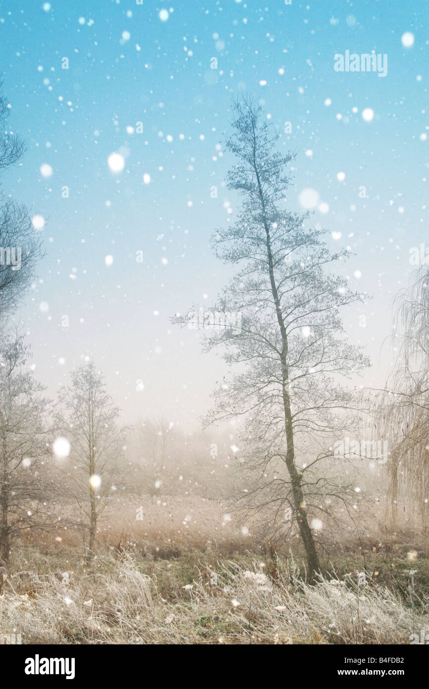 snowy winter scene Stock Photo - Alamy