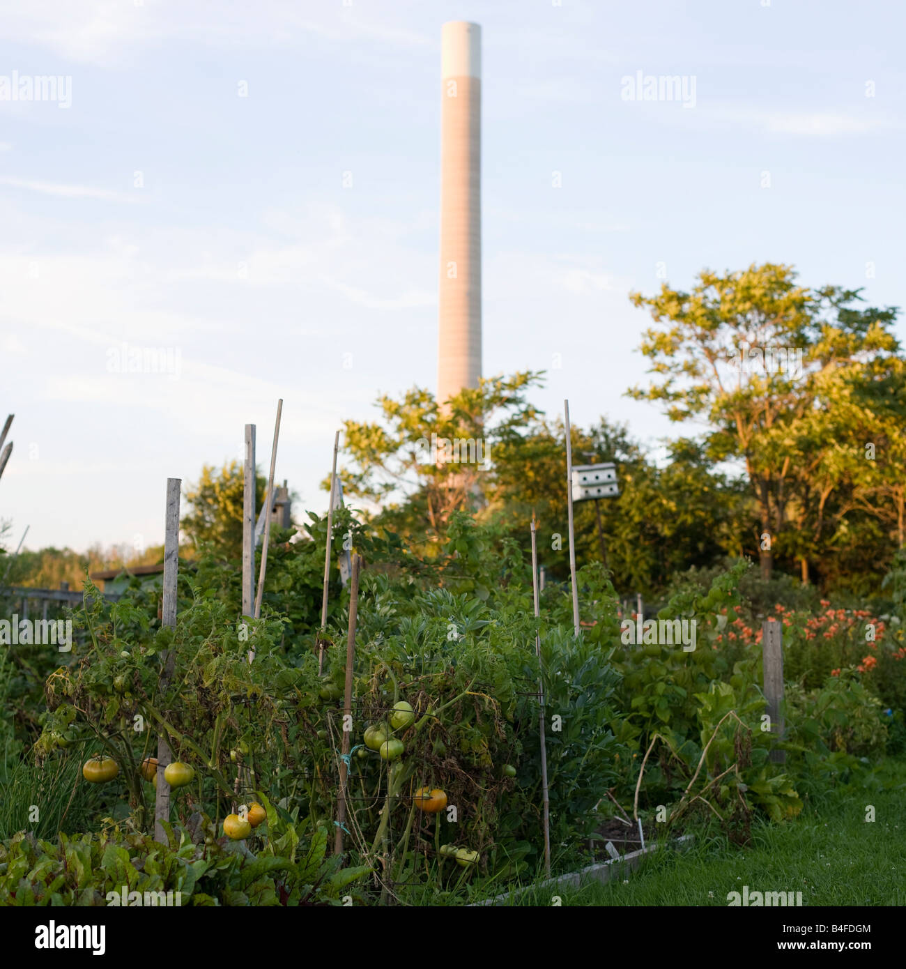Urban city garden with water treatment plant smoke stack in background ...