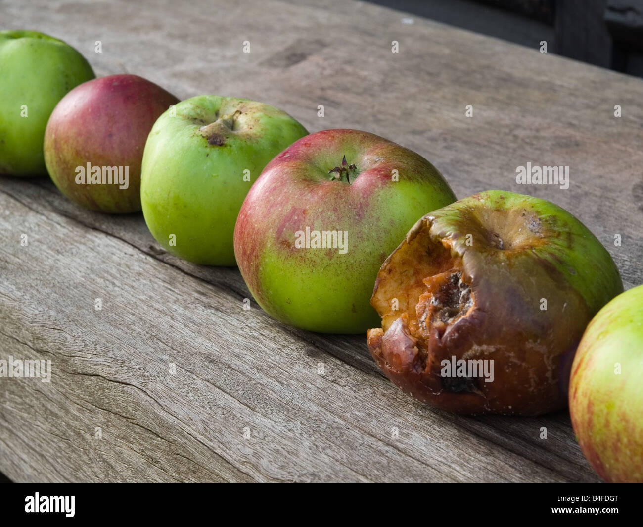 Rotting hi-res stock photography and images - Alamy