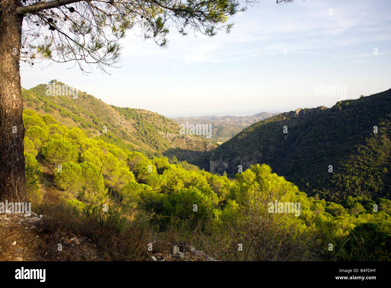 Barranco Blanco, Andalucia, Southern Spain, Europe Stock Photo - Alamy