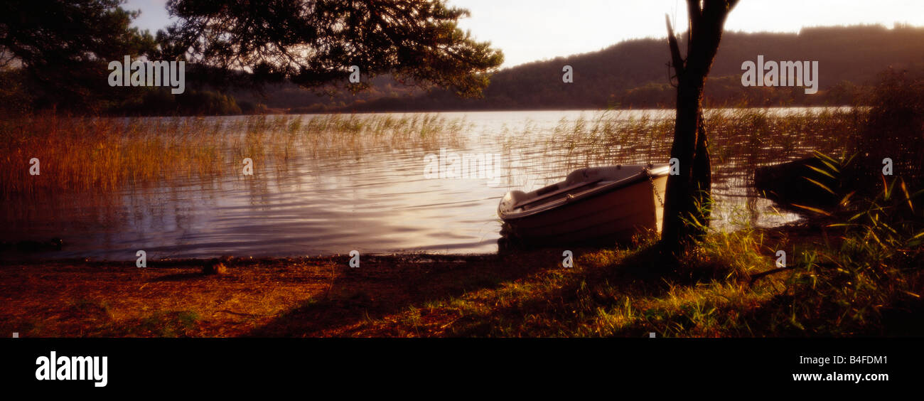 a panoramic picture of a boat tied up to a tree on the shore of a ...