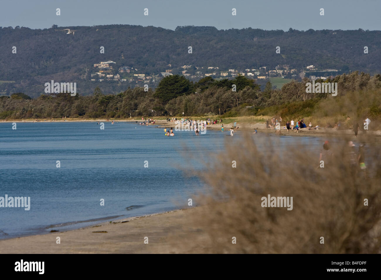 Tootgarook beach from Rye foreshore, with Dromana in the background ...