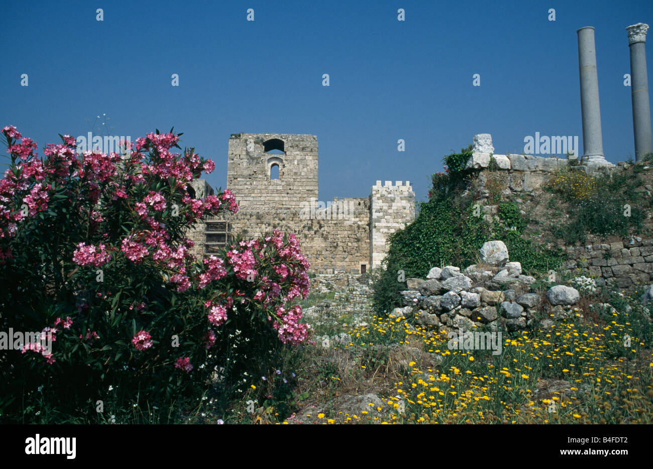 The 12th century Crusader Castle in Byblos, Lebanon Stock Photo - Alamy