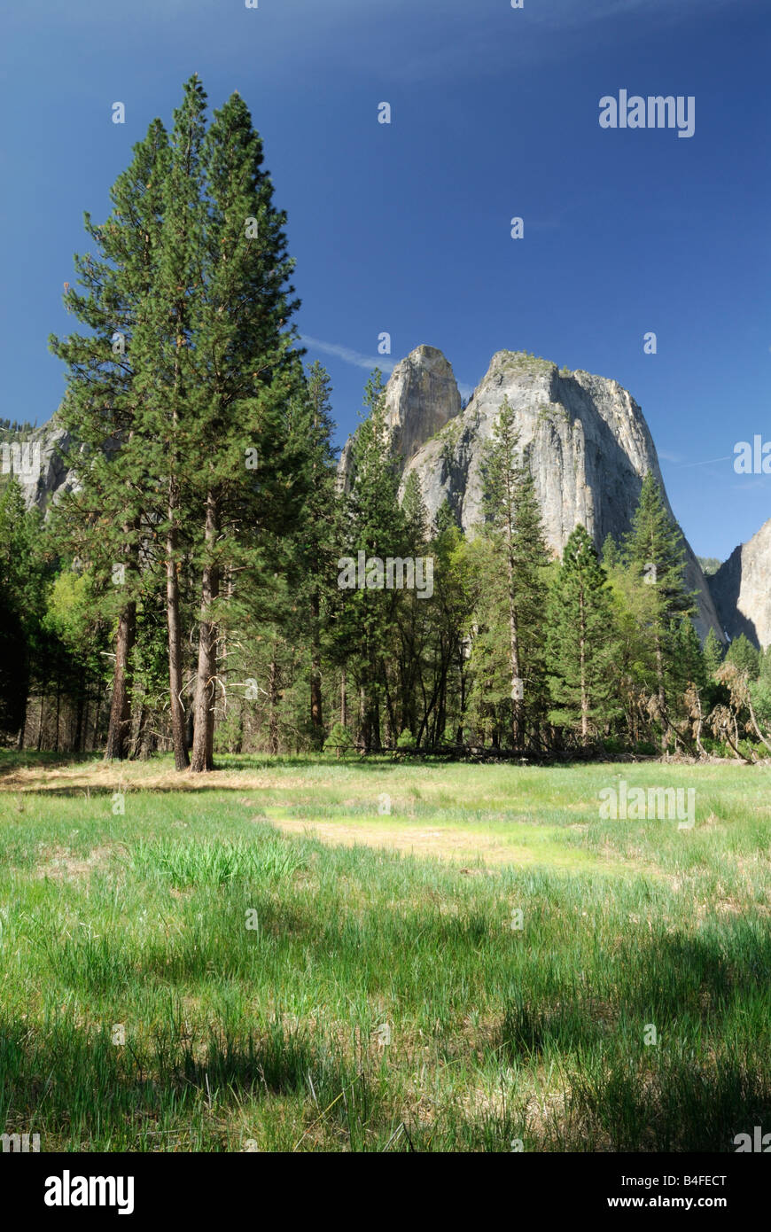 Spring in Yosemite Valley, California Stock Photo - Alamy