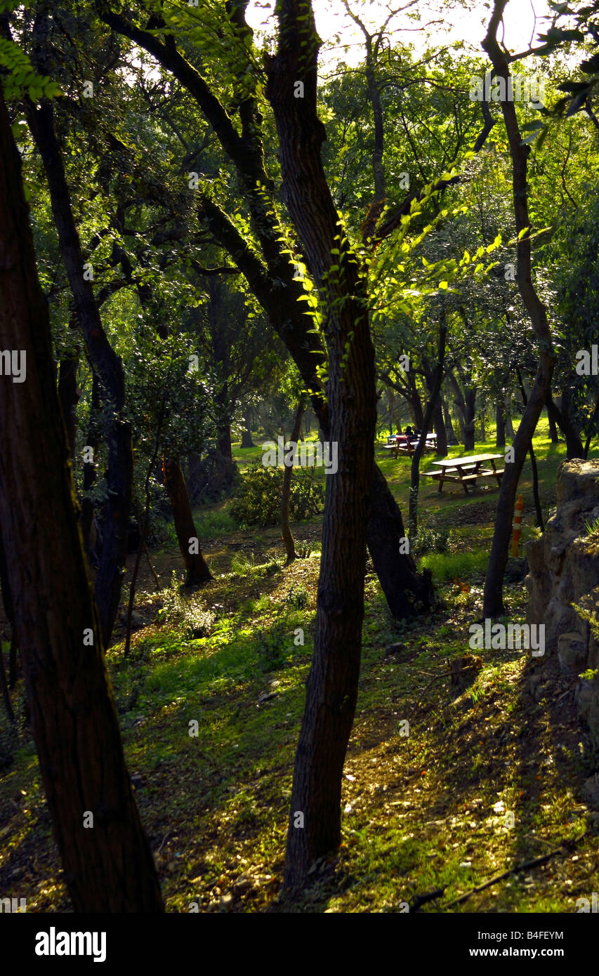 Vertical shot nature preserve hi-res stock photography and images - Alamy