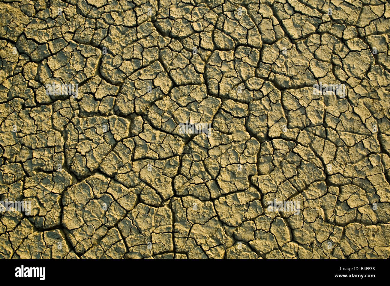 Dry Cracked Soil Stock Photo - Alamy