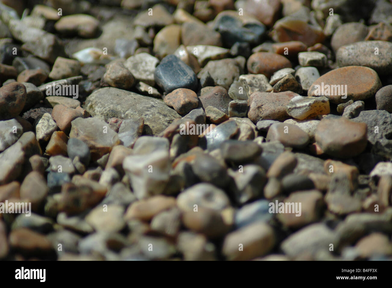 Pebbles on path Stock Photo - Alamy