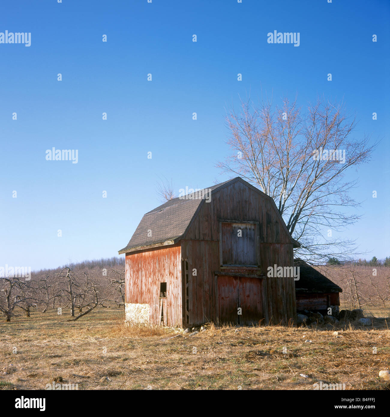 Orchard barn hi-res stock photography and images - Alamy