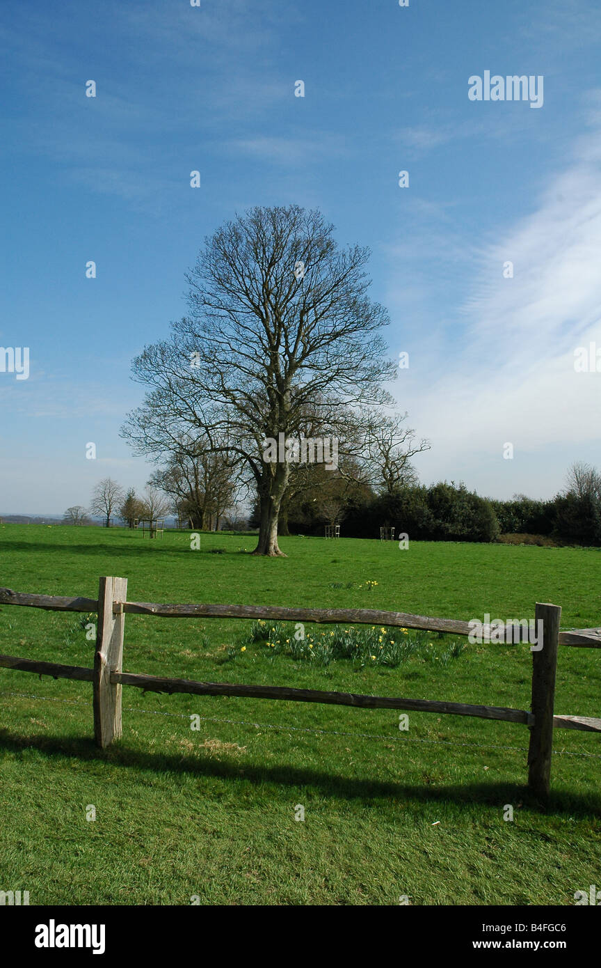 Wooden fence in field Stock Photo - Alamy