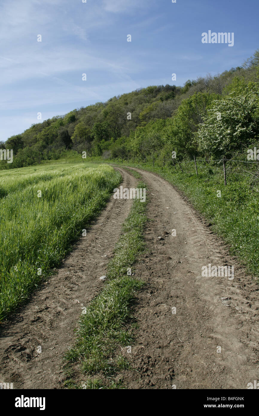 wheel tyre tracks in mud on path lane in country Stock Photo - Alamy