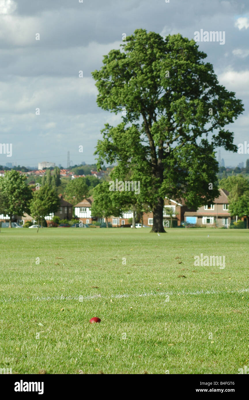 Cricket field boundary hi-res stock photography and images - Alamy
