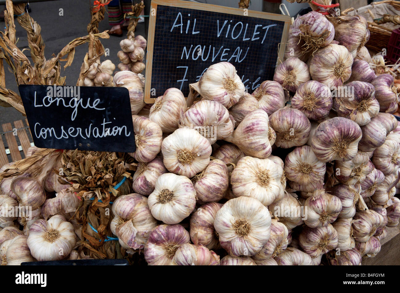 Allium sativum L., garlic on sale in French Market Stock Photo - Alamy