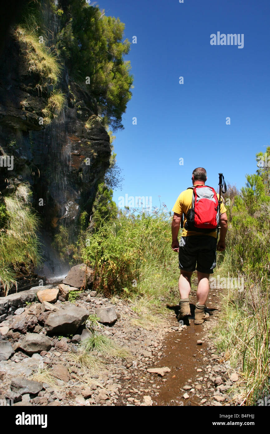 Pinaculo madeira portugal hi-res stock photography and images - Alamy