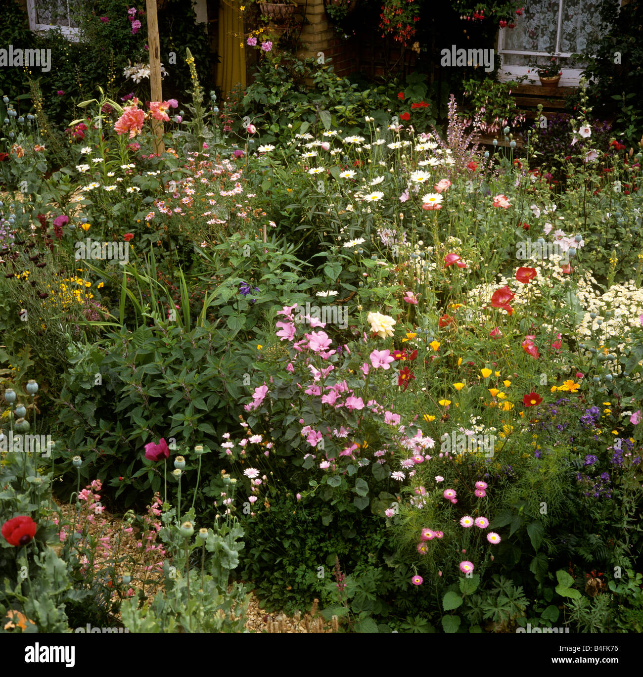 UK England Isle of Wight Cottage Garden Brightstone Stock Photo - Alamy