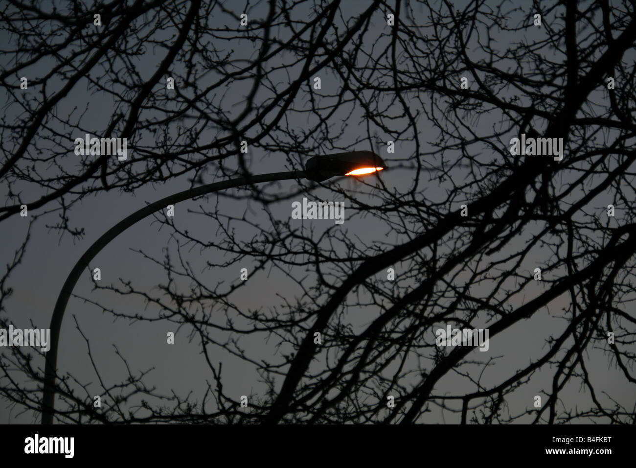 one street lamp post pole at night in dark forest Stock Photo - Alamy