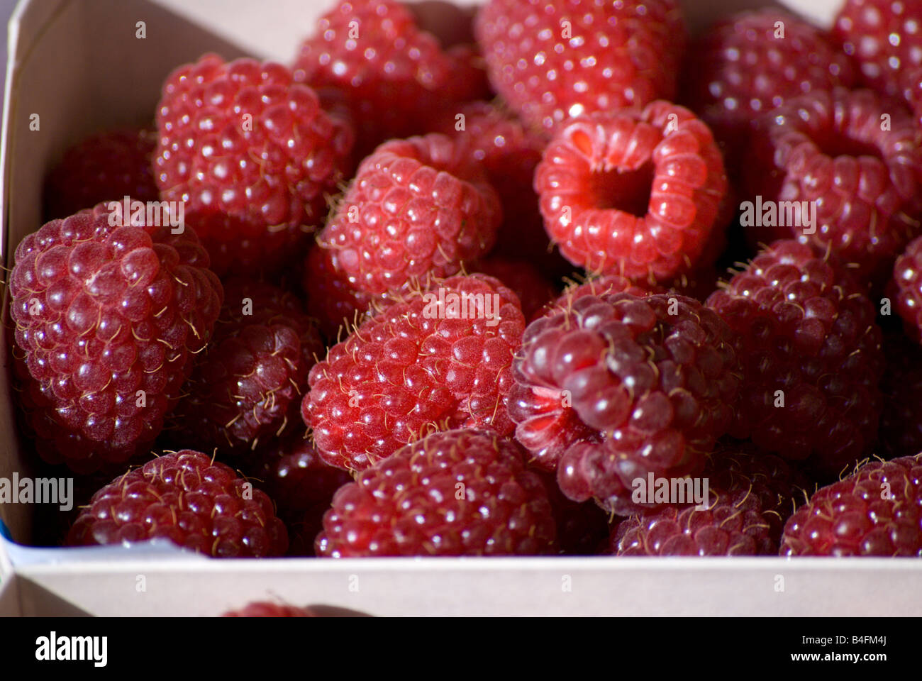 A carton of red raspberries on a shelf at the market Stock Photo - Alamy