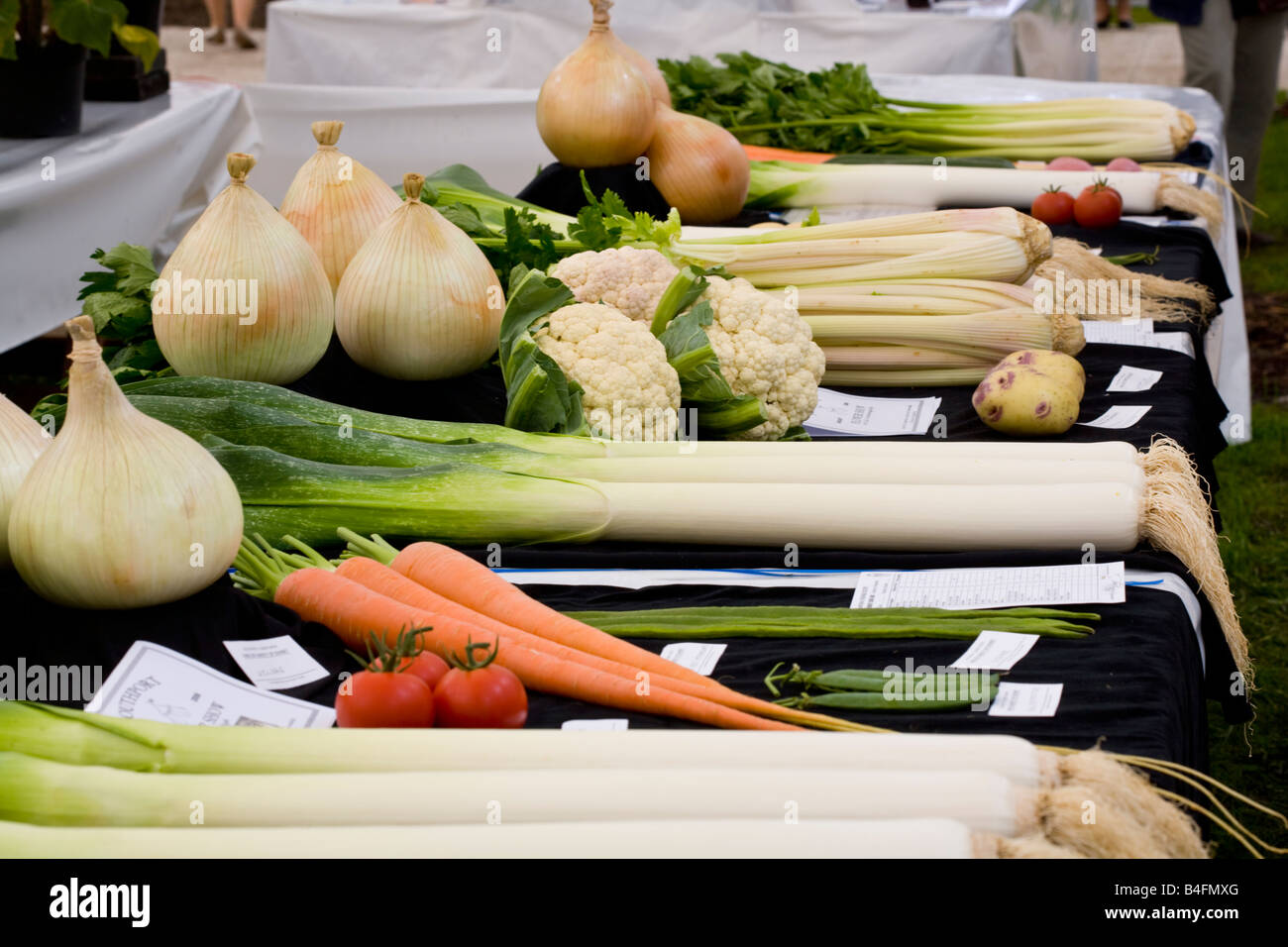 Show leeks hi-res stock photography and images - Alamy