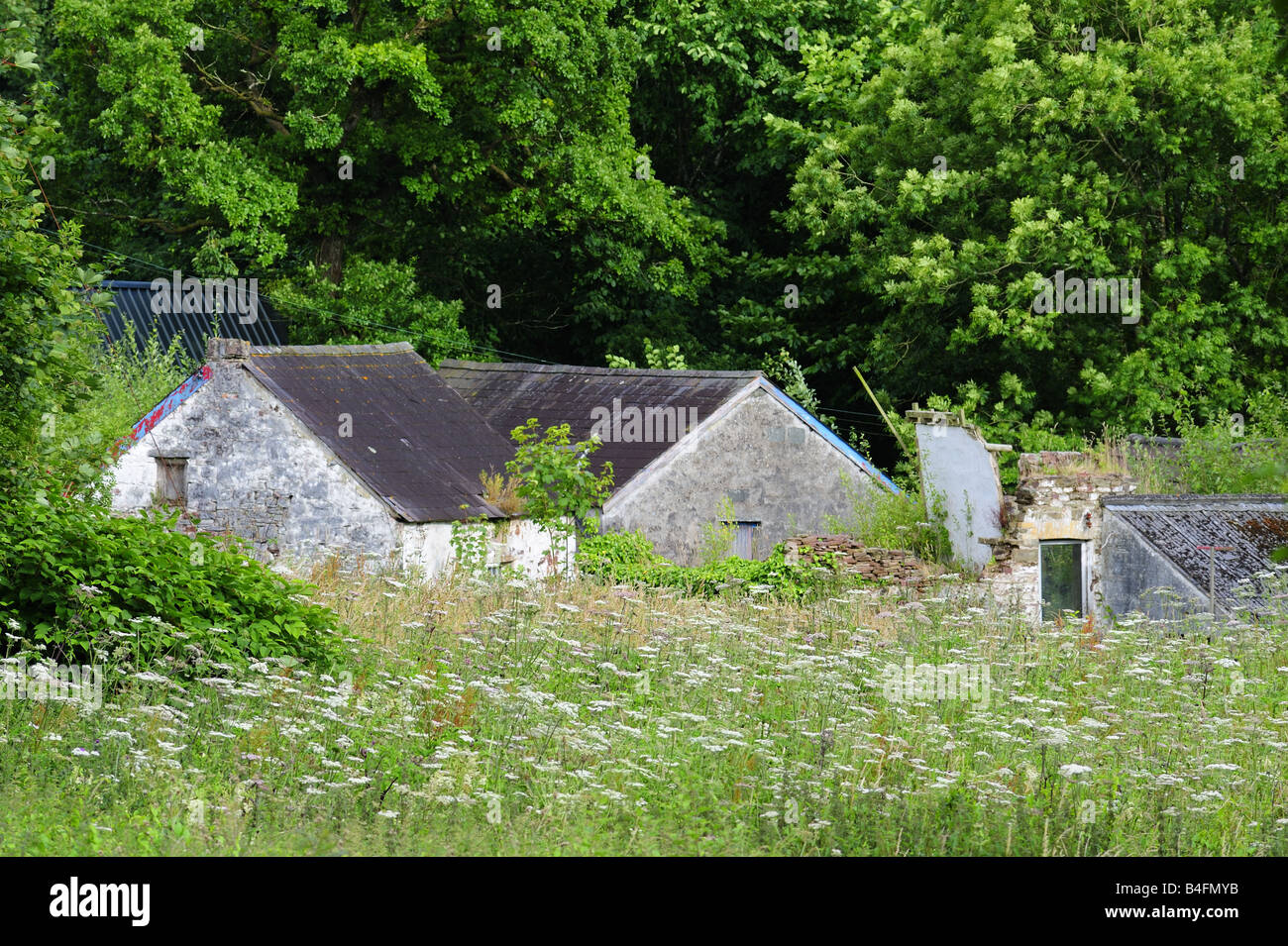Disused farm house hi-res stock photography and images - Alamy