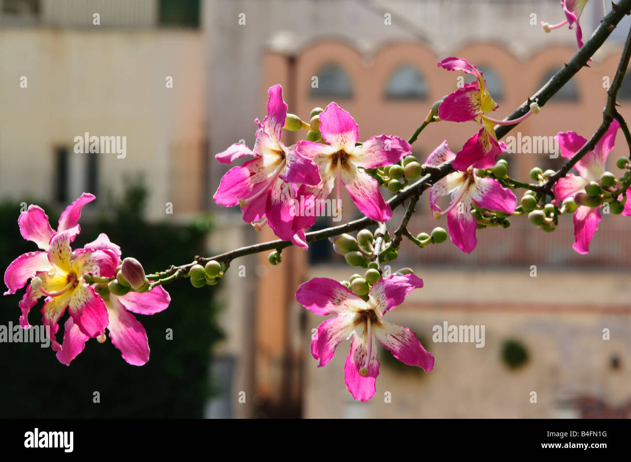 Main square positano hi-res stock photography and images - Alamy