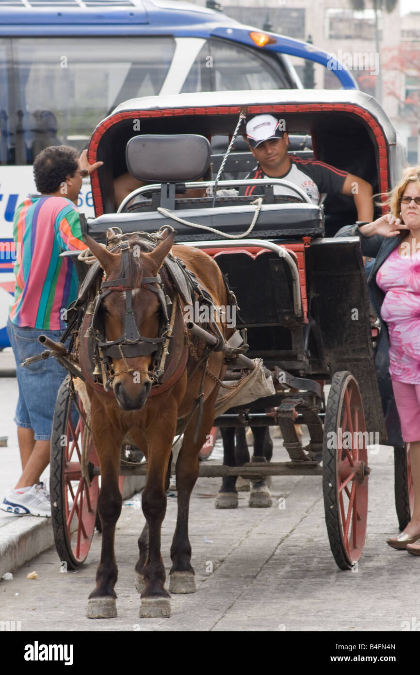 Horse carriage in the centre of Havana, Cuba Stock Photo - Alamy