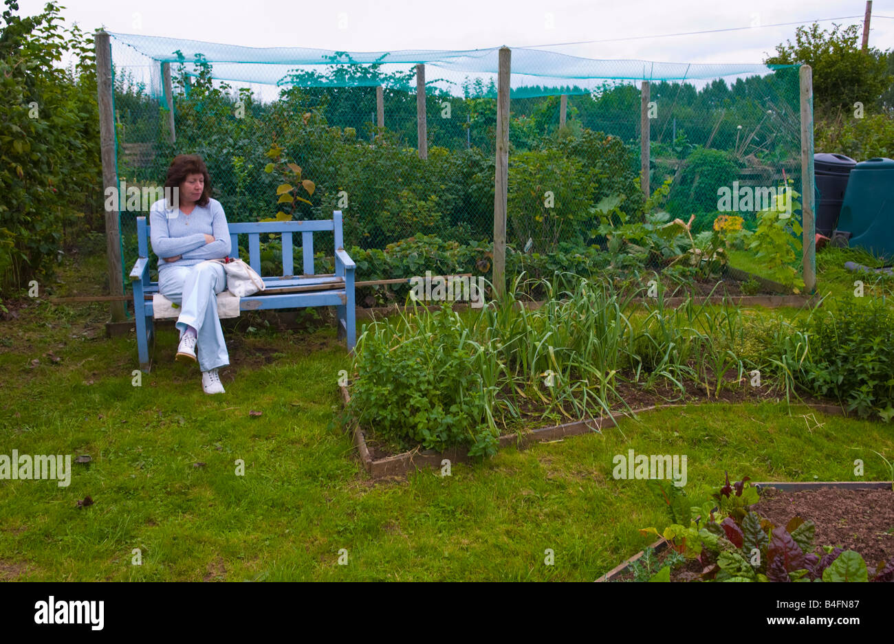 Woman watching the plants grow sat on bench in front of fruit cage on ...