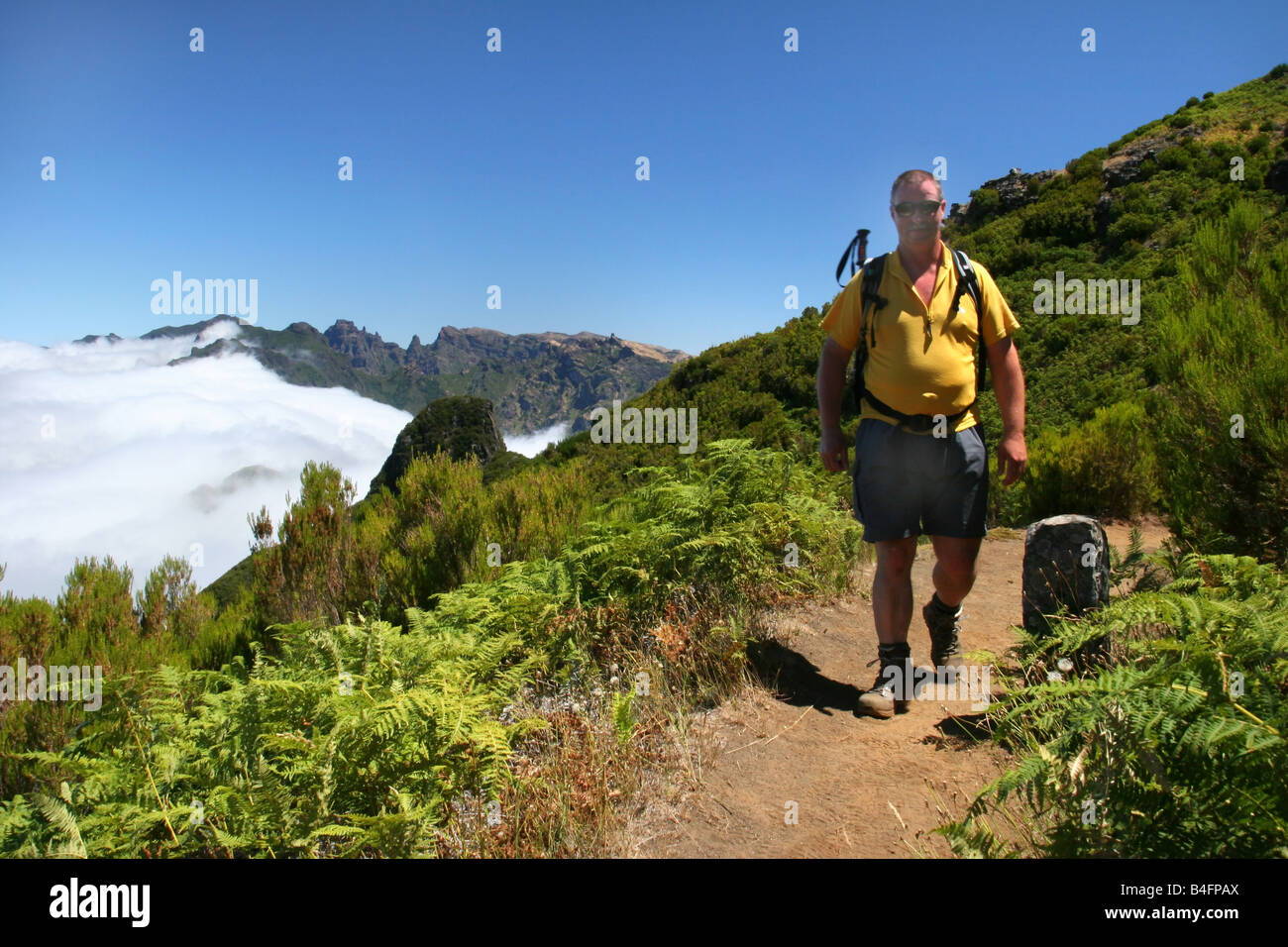 Pinaculo madeira portugal hi-res stock photography and images - Alamy